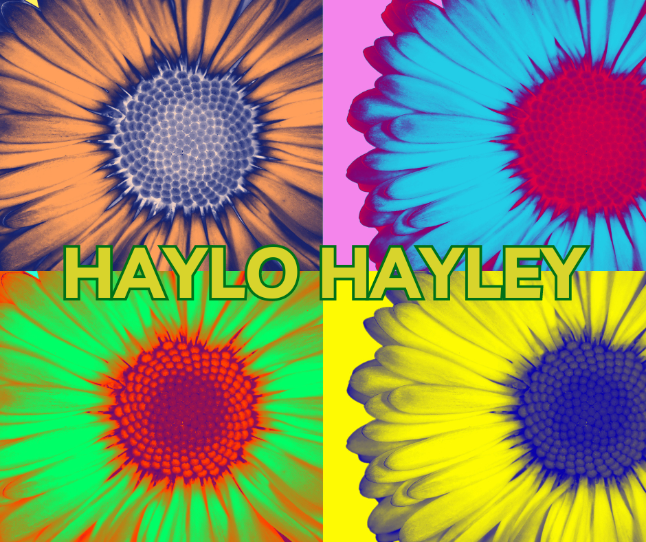 Haylo Hayley: Your Sassy Guide to Pop Culture (and Overconsumption ...